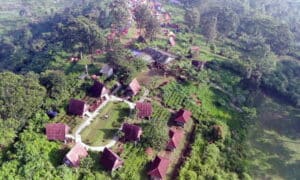 Gayatri Camp Puncak