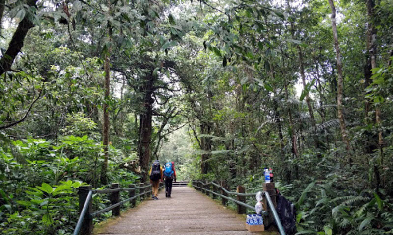 Paket Outing dan Tempat Family Gathering di Cibodas