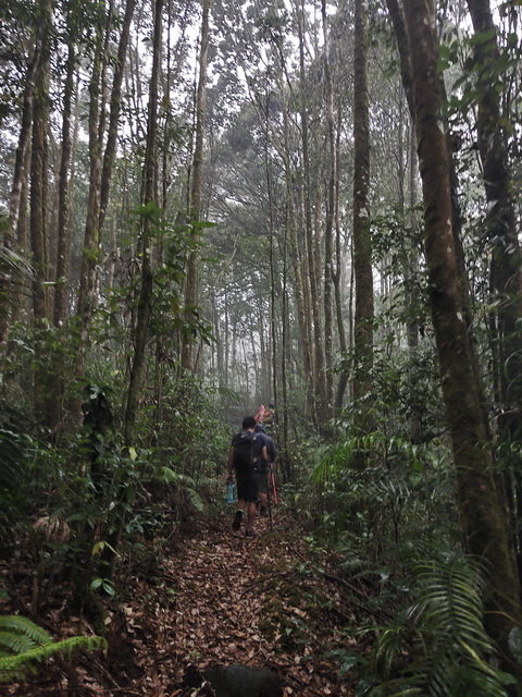 Trekking Puncak Kencana via Gunung Paseban dengan jalur paling EKSOTIS