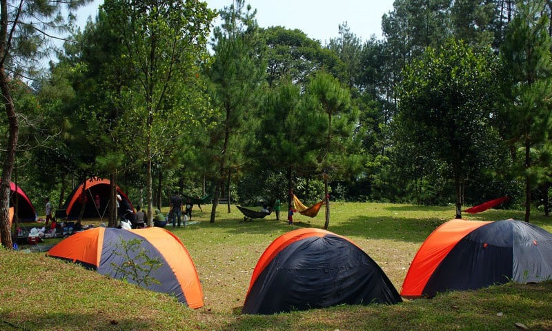 Halimun Campsite Bogor untuk outing dan gathering