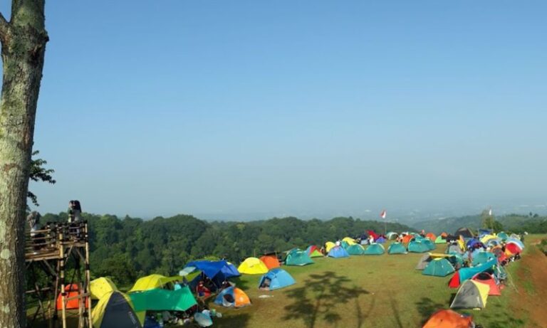 Puncak Halimun Camp Bogor | Review Campground di Pancawati
