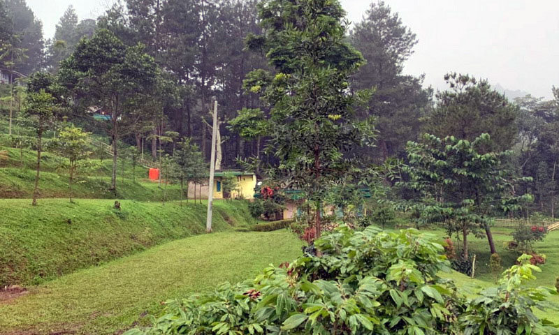 Curug Naga Camping Ground ; Tempat berkemah di komplek air terjun curug ...