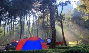 Gayatri Mountain Adventure Camp dan Highland Camp Puncak Bogor